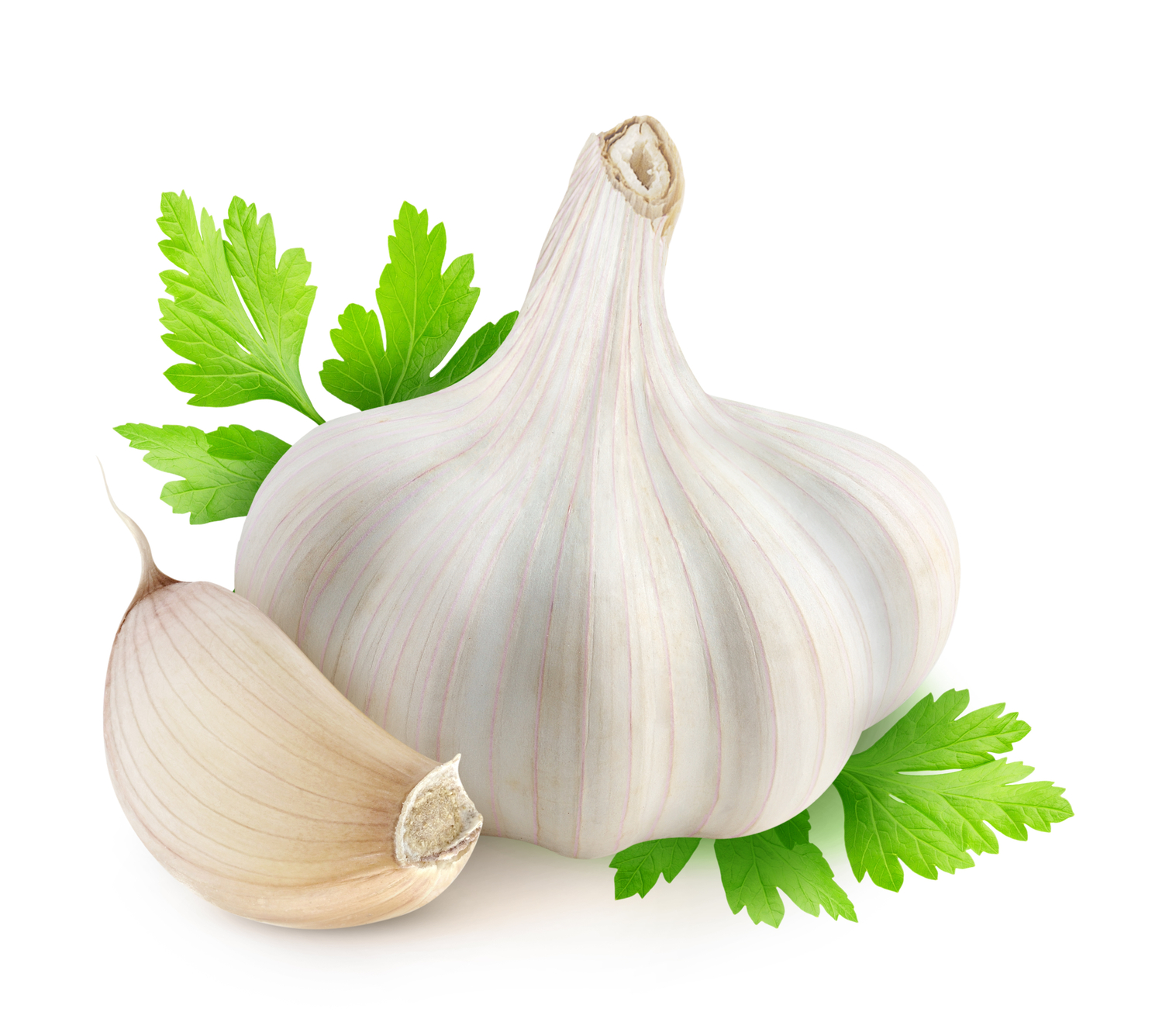 Fresh Garlic - Bleih Group